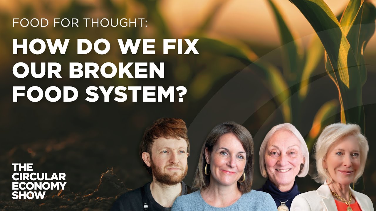 Food for thought | How do we fix our broken system?