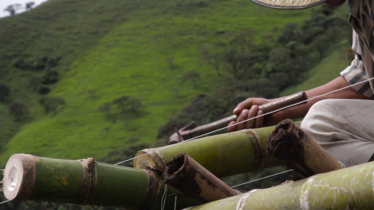 'Semillas de Dignidad' - Trailer Documental
