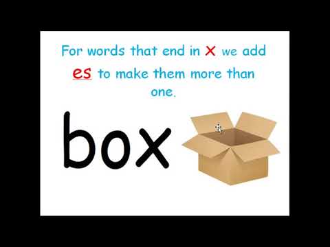 Singular and Plural - adding 'es' to words ending in x and z