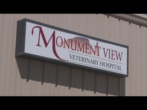 The First 24 Hour Vet Clinic in Mesa County