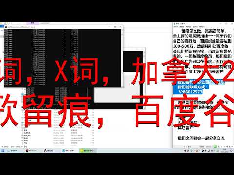 镜像站群哪个软件好用 黑帽seo收徒如何开启泛端口操盘端口站群技术【学bc词X词引流技术+v:84897870】 百度强引蜘蛛论坛