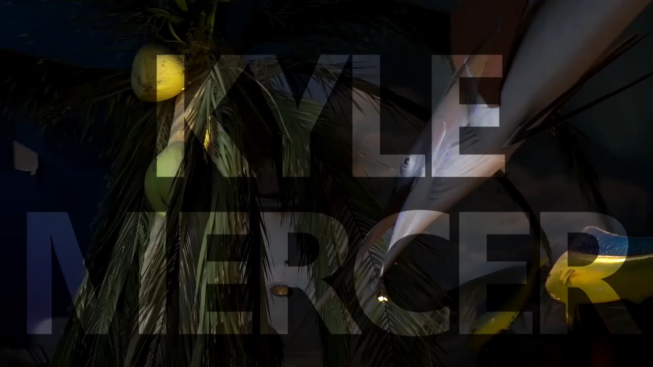 Hire Kyle Mercer - Singing Guitarist in Nashville, TN | GigSalad