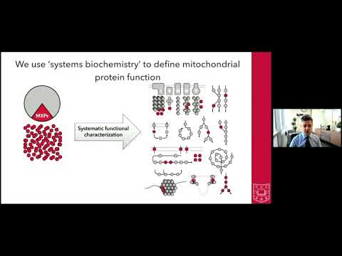 Wiring the powerhouse: Systems-to-structure approaches for defining mitochondrial protein function