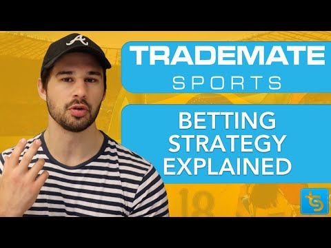 Our Betting Strategy Explained | Trademate Sports Value Betting Software