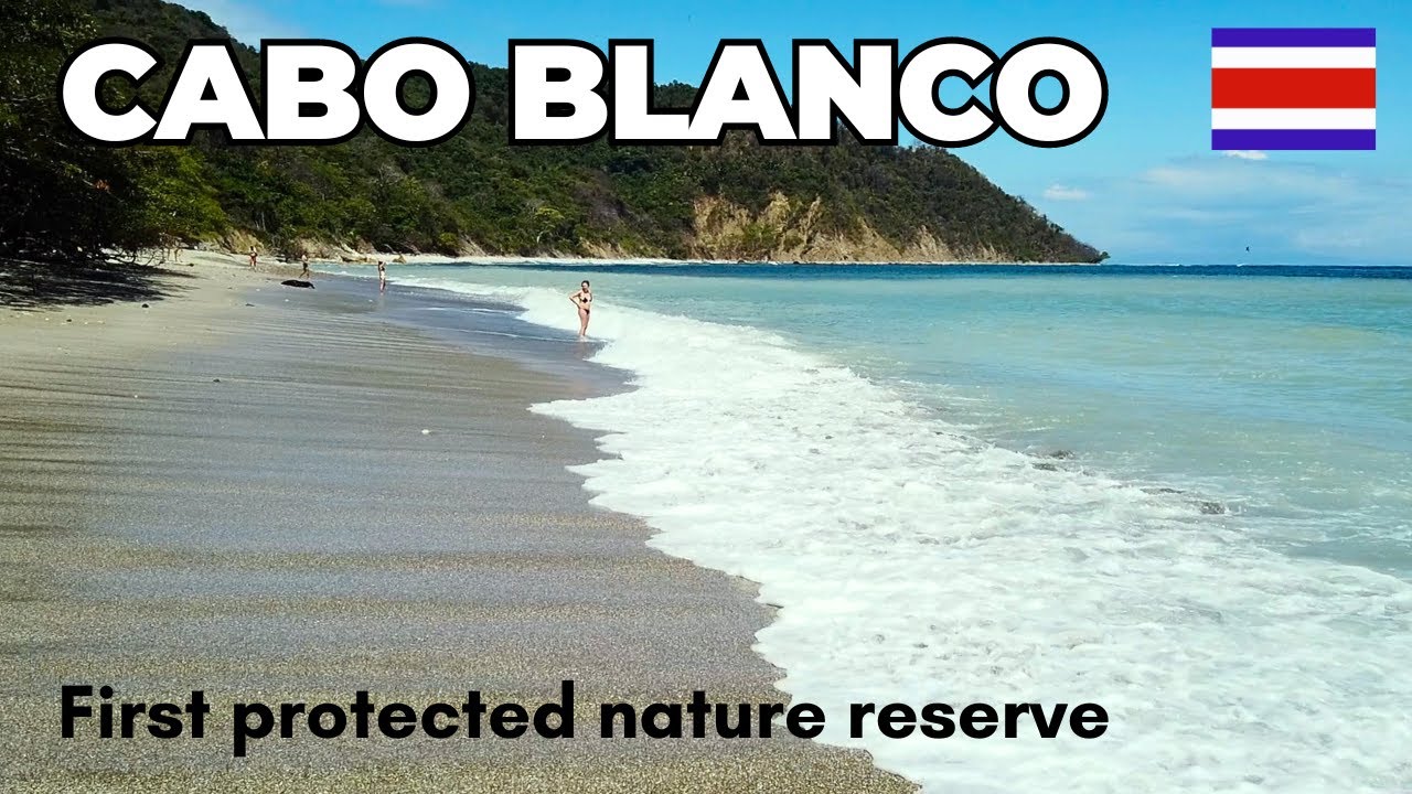 Why Visit Cabo Blanco? All Information Here - Nicoya Peninsula Costa Rica