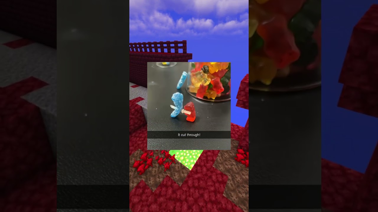 The Gummy Bears VS Sour Patches