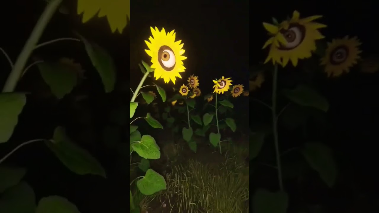 🎤🎶 bunga matahari yang sangat cantik 🎶🎤🗿