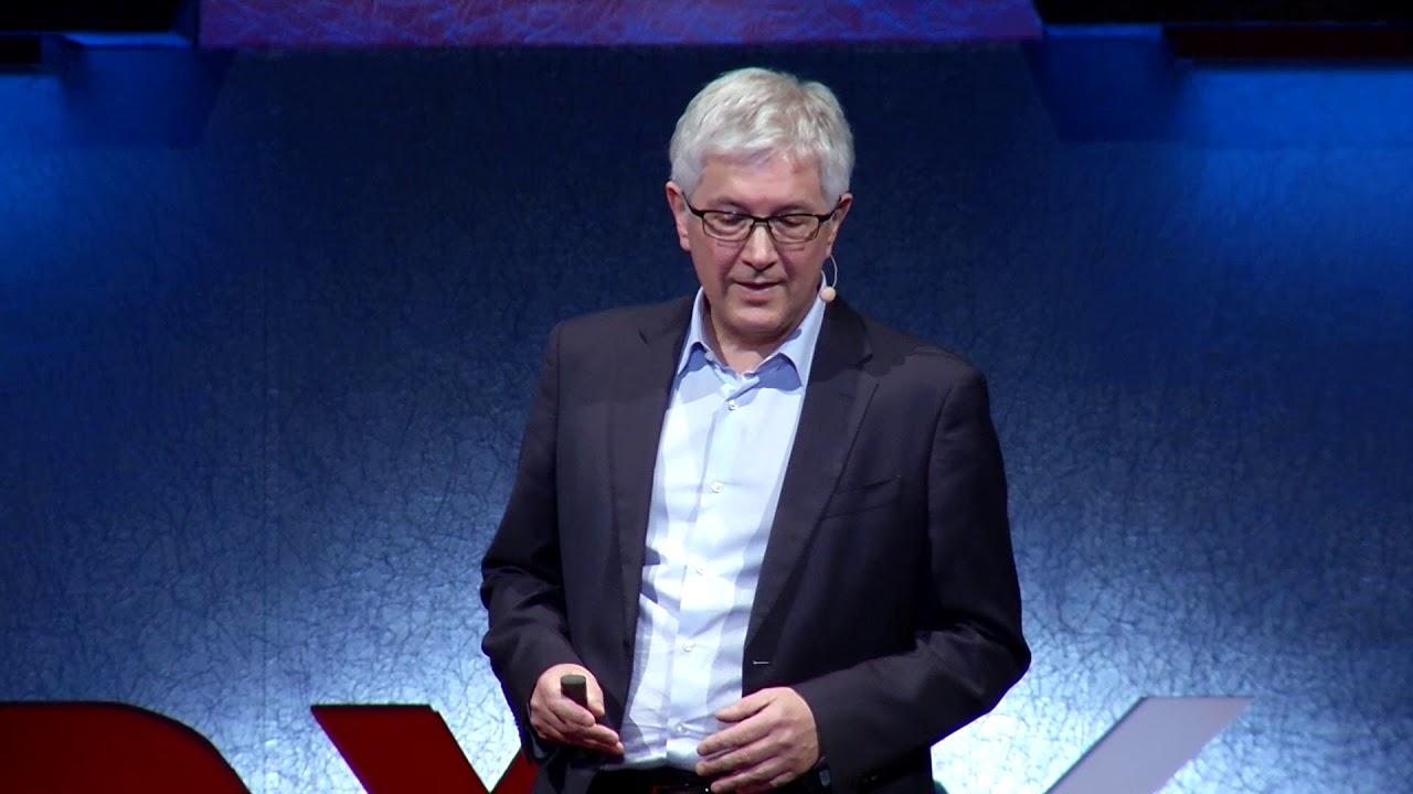 Why we need global institutions | Gabriel Duque | TEDxKyoto