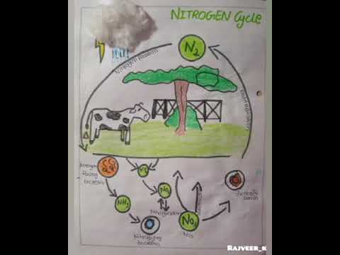 project file on Natural Resources||Class 9|| Done by Rajveer_k||