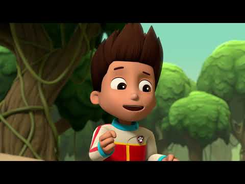 PAW Patrol Rescue World Apps on Google Play – lwlwit