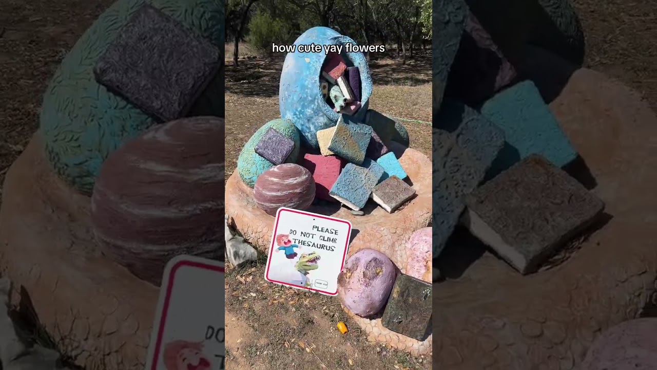 Spring Break Mini Vlog: The Book Doctor