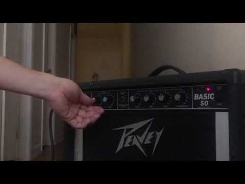 Peavey Basic 50 Bass Amp | Reverb