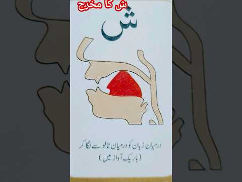 Sheen (ش) Ka Makhraj | Urdu | Asan Tajweed |Learn Quran #tajweed #makhraj #viral #shorts #ytshorts