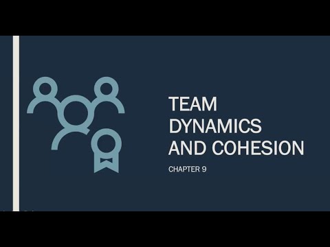 SEP 272 - CH 9 Team Dynamics and Cohesion