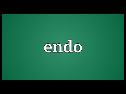 Endo Meaning