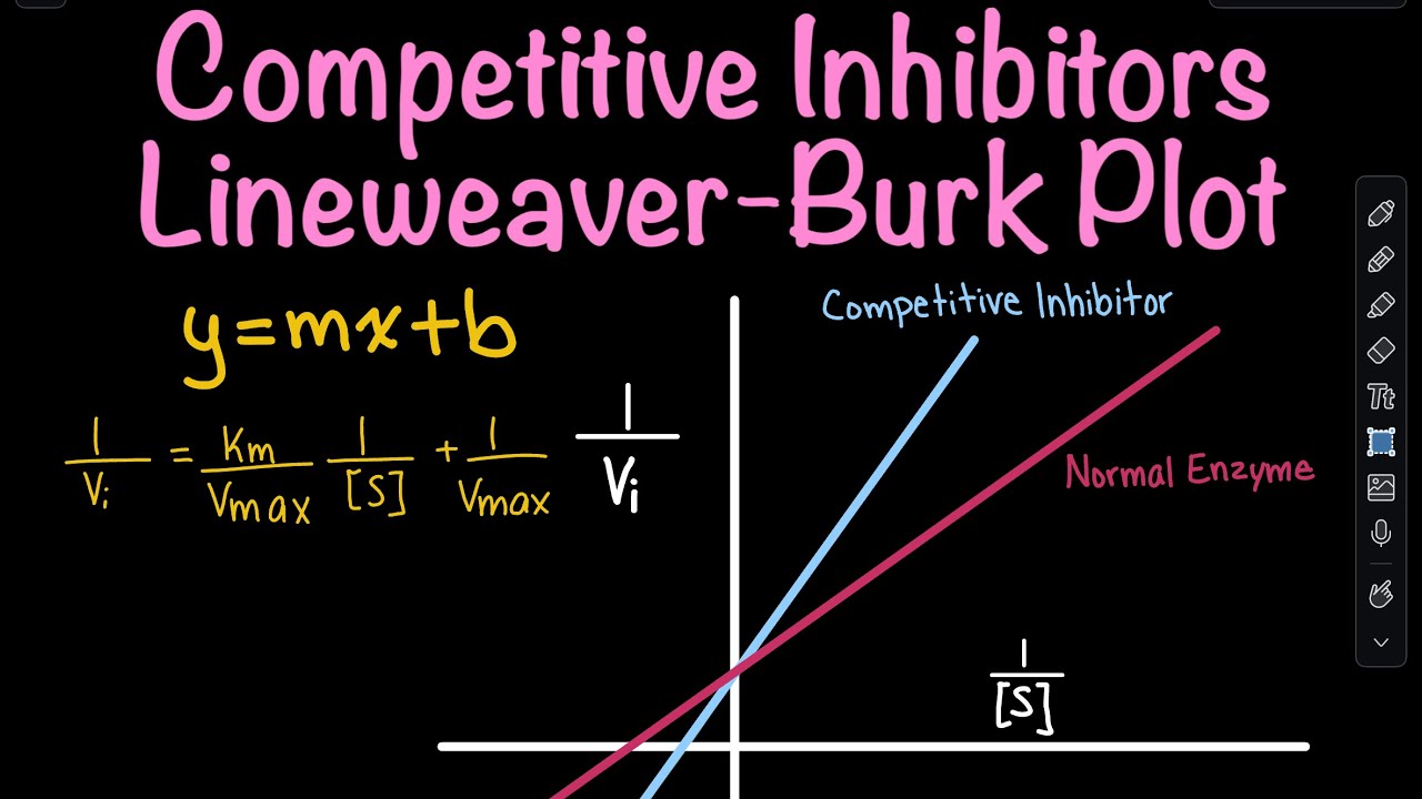 Competitive Inhibitors Lineweaver-Burk Plot (Part 3) | Biochemistry