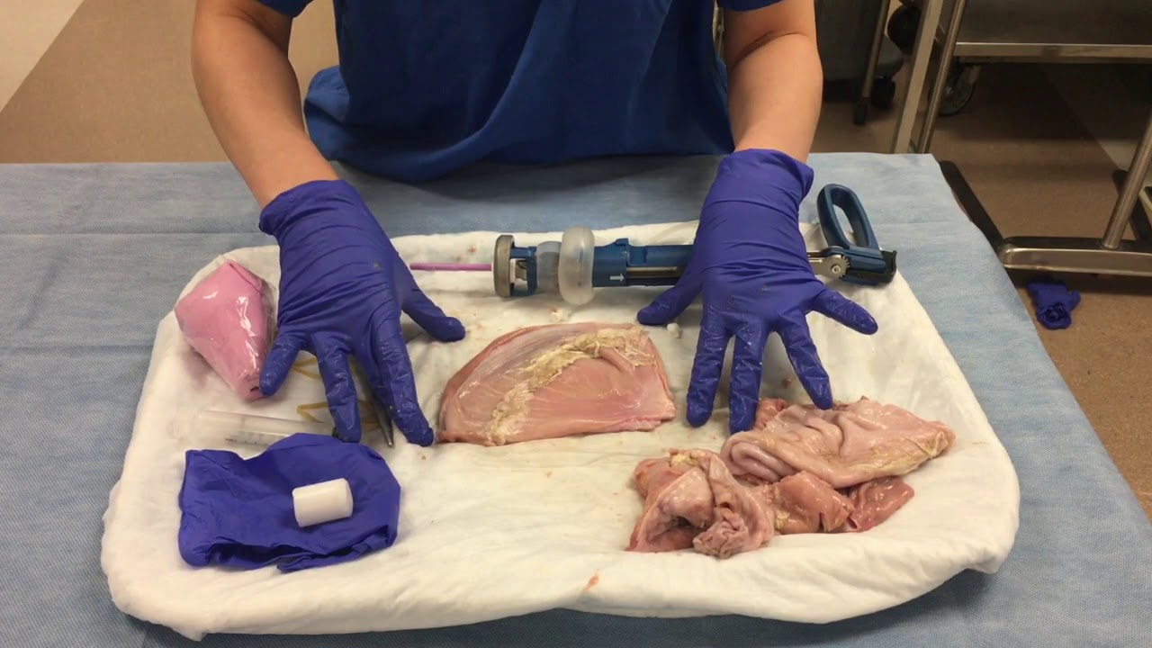 Tissue Model for Laparoscopic Colpotomy Simulation