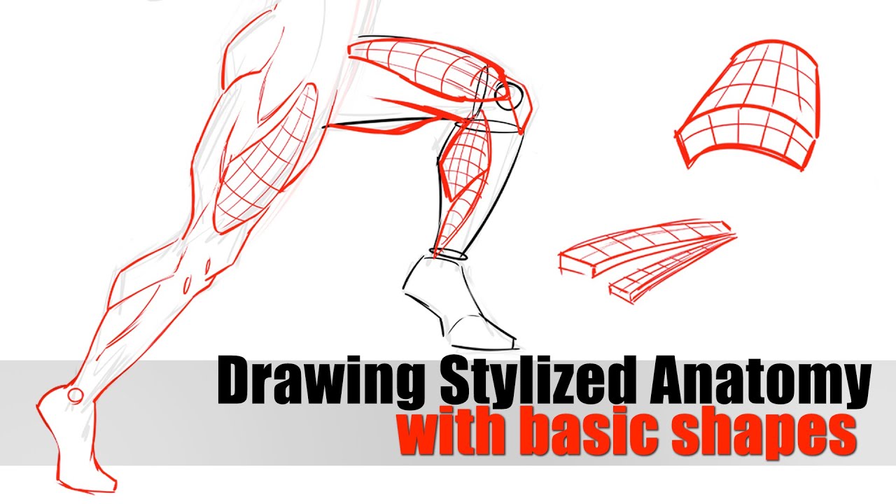 Drawing Stylized Anatomy with Basic Shapes