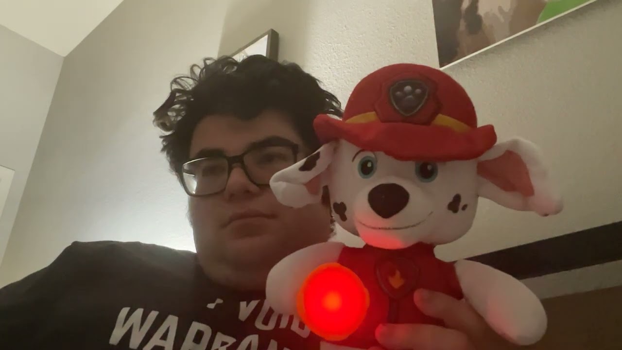 My entire bedtime toys collection and a big shoutout to @Codester-xm8ui !