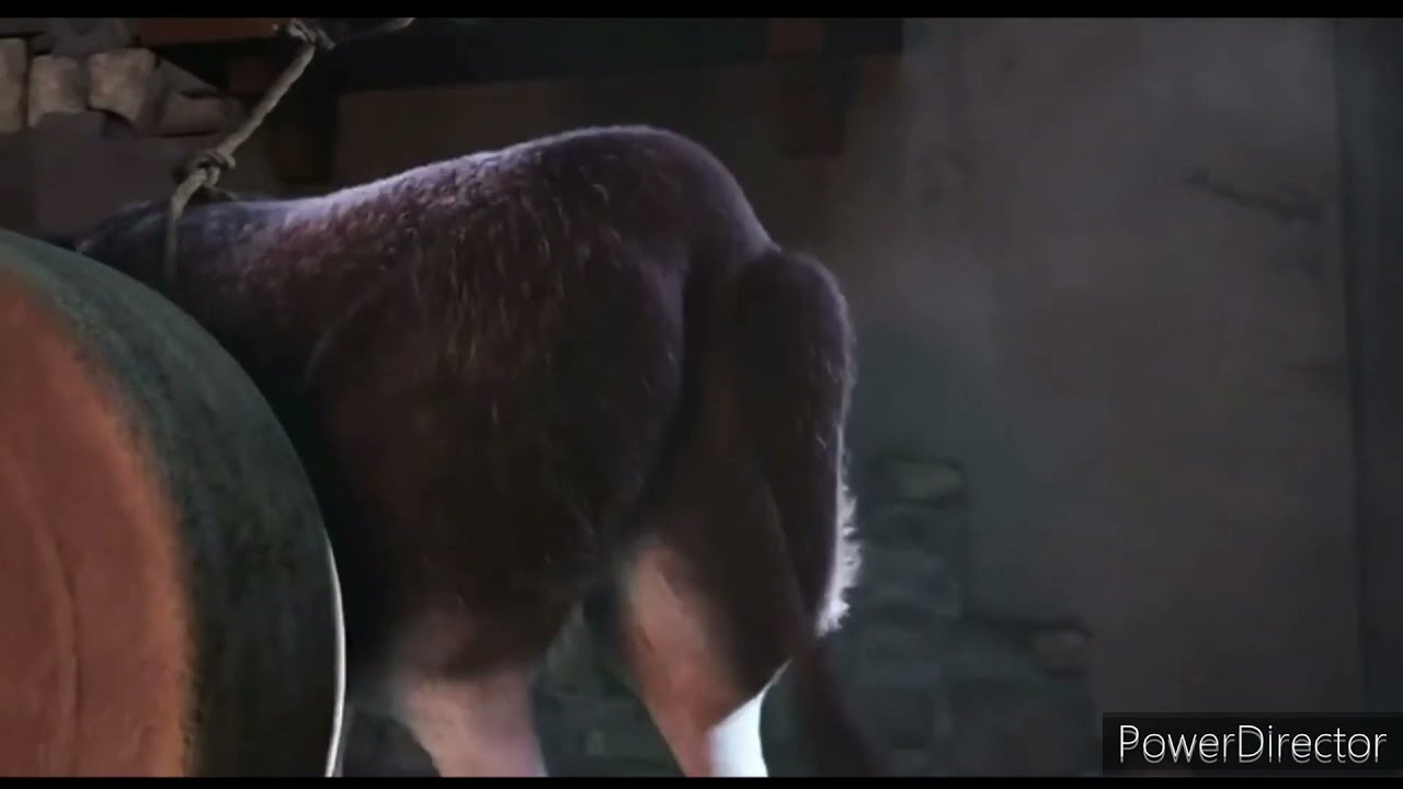 donkey butt scene