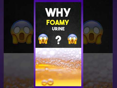 Why " Foamy " Urine ?
