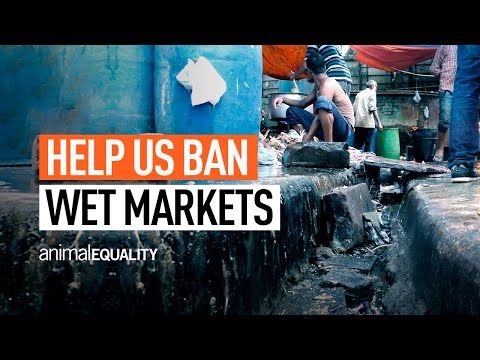 Help Ban Wet Markets – Animal Interfaith Alliance