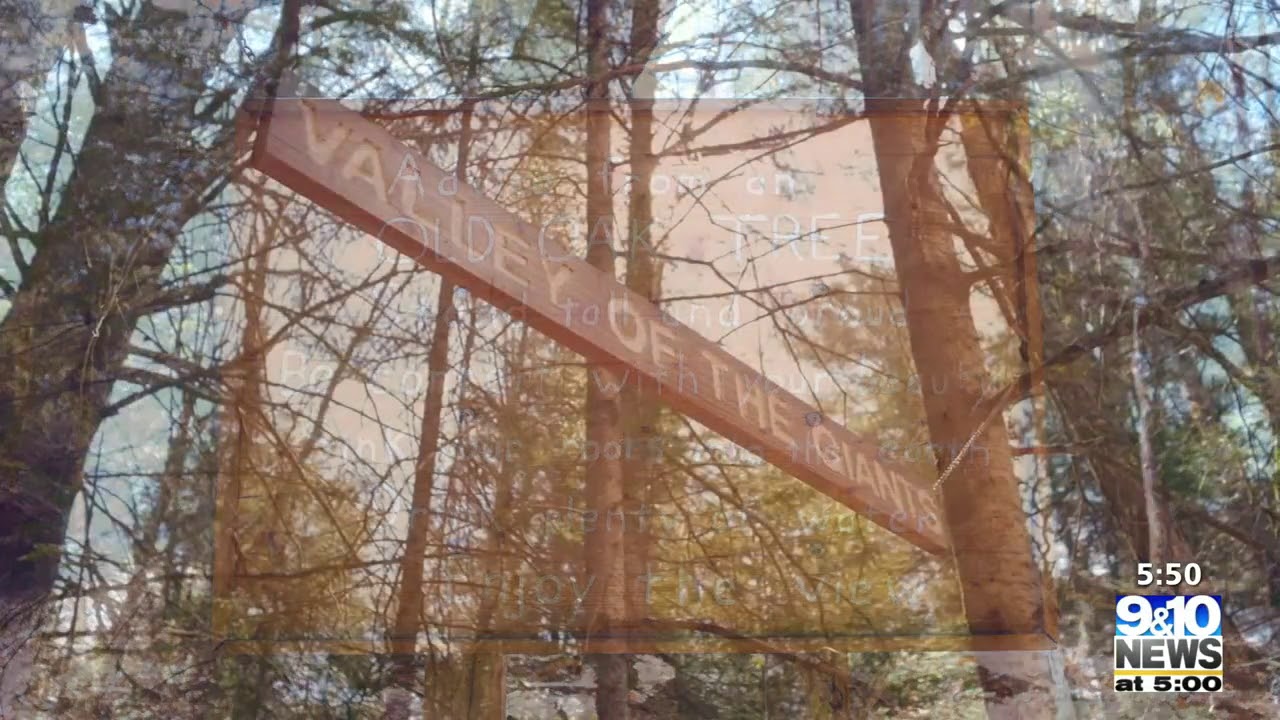 Adventures in Northern Michigan: Valley of the Giants