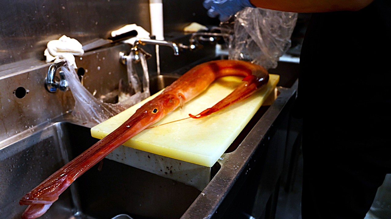 Unbelievable Fish Finds! Inside Tokyo’s New Kitchen-Free Sushi Bar 'Sushikawa' | English Dub