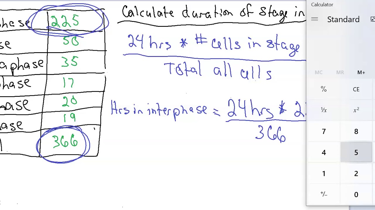Lab 9 - Procedure 9.3 - Calculation