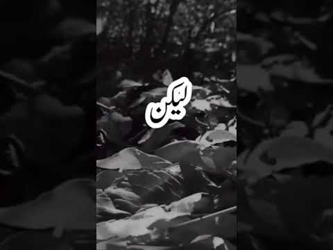Honesty Best poetry status (Urdu poetry status)Best poetry status #viral #shorts #trending #follow