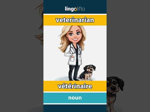 🇬🇧🇫🇷 veterinarian - vétérinaire : learn English : apprenons l'anglais