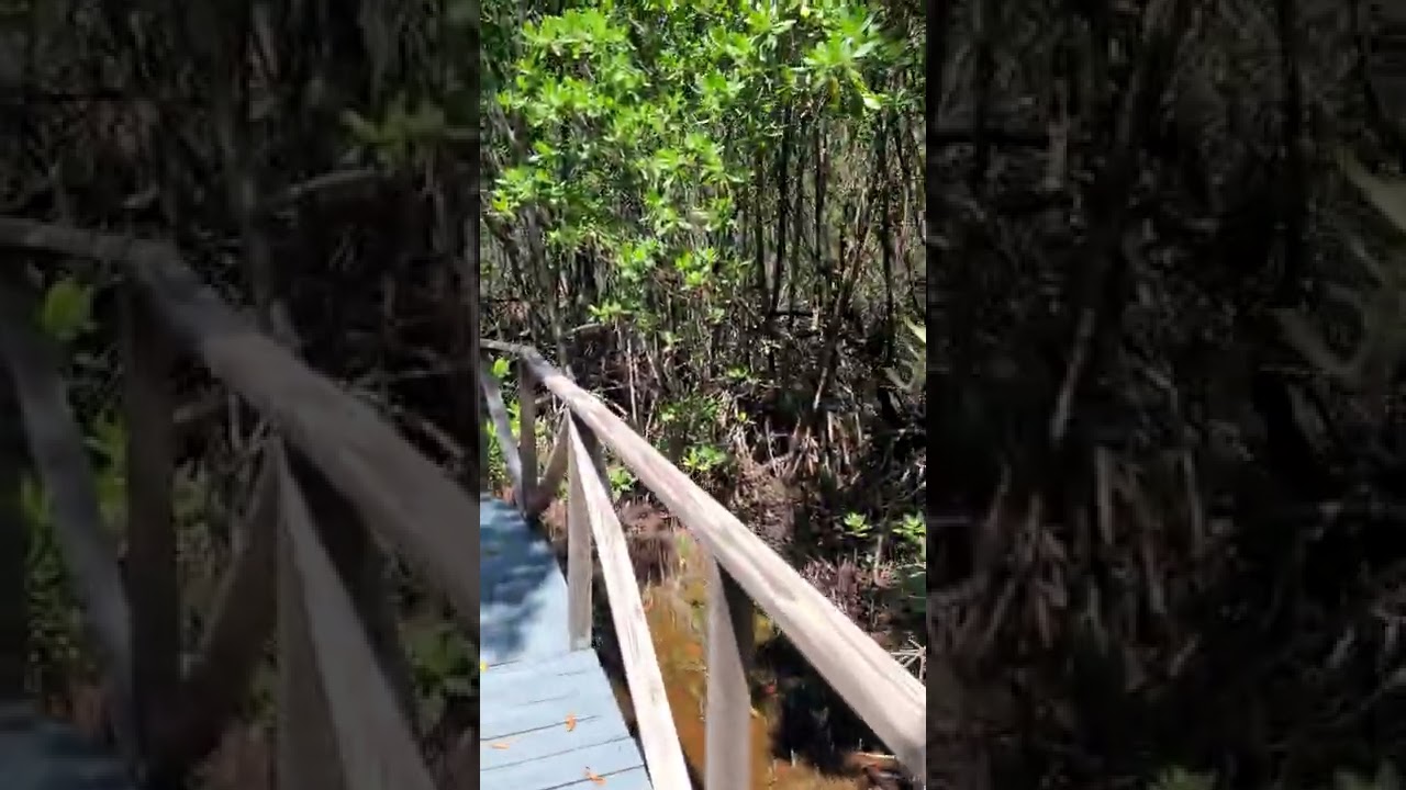 Wetland tour at the CCAM Discovery Centre