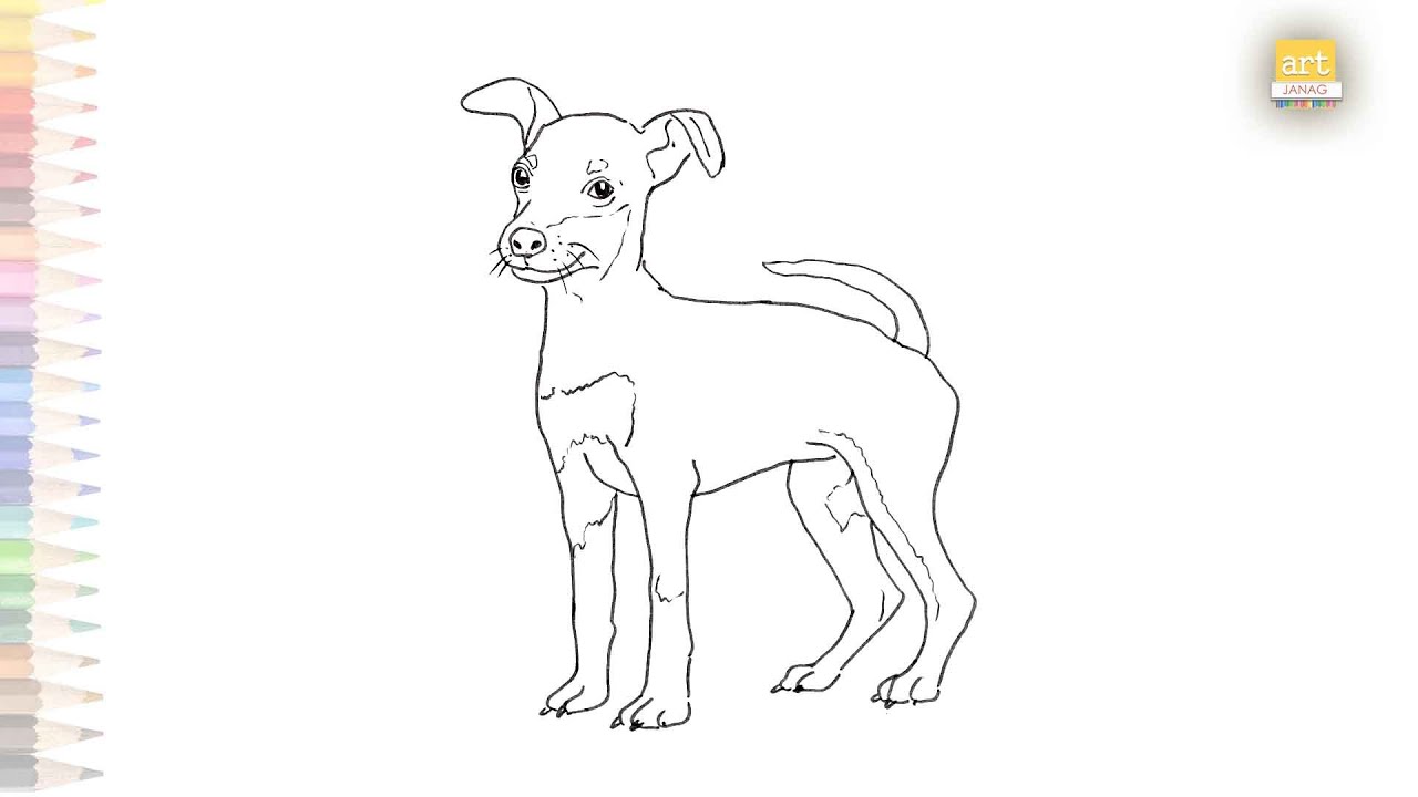 Miniature Pinscher puppy drawing | How to draw Miniature Pinscher step by step | Dog drawing | #art