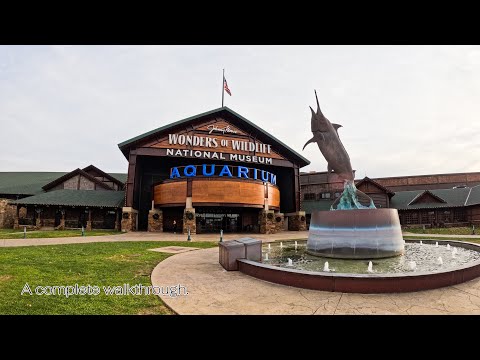 Wonders of Wildlife Aquarium Walkthrough | Springfield, Missouri