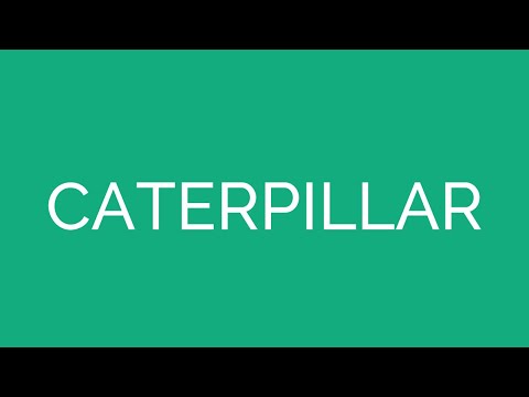 Caterpillar : How To Pronounce Caterpillar