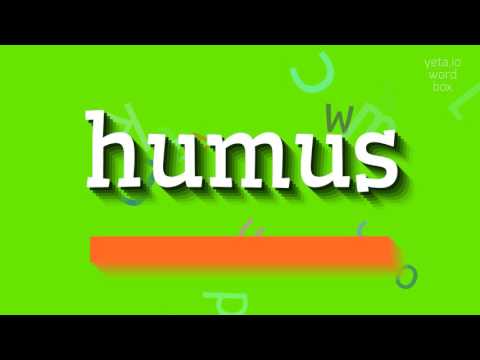 How to say "humus"! (High Quality Voices)
