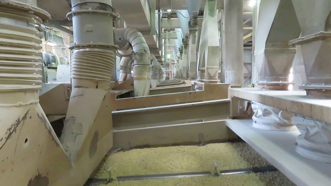 Soybeans - Beans drying, dehulling, separating foreign material 07-2-2019