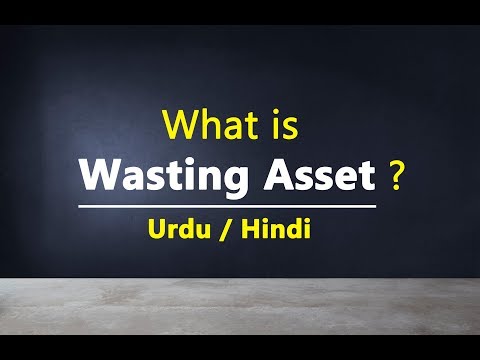 What is Wasting Asset ? Urdu / Hindi