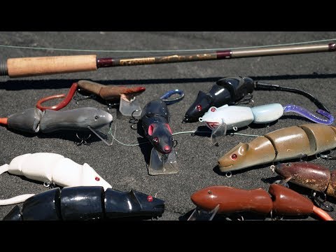RAT FISHING Made EASY! Everything You Need To Know - Outdoorsmen
