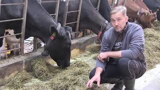 Tietotekniikka / IT / Ohjelmointi