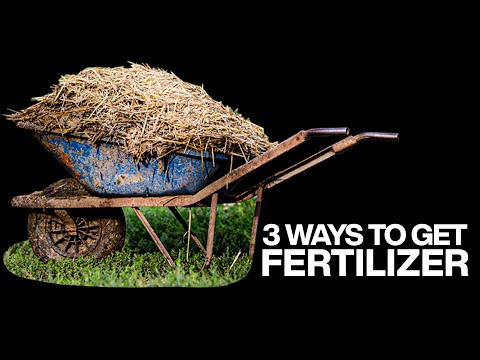 Steam Community :: Video :: Medieval Dynasty Fertilizer | Medieval ...