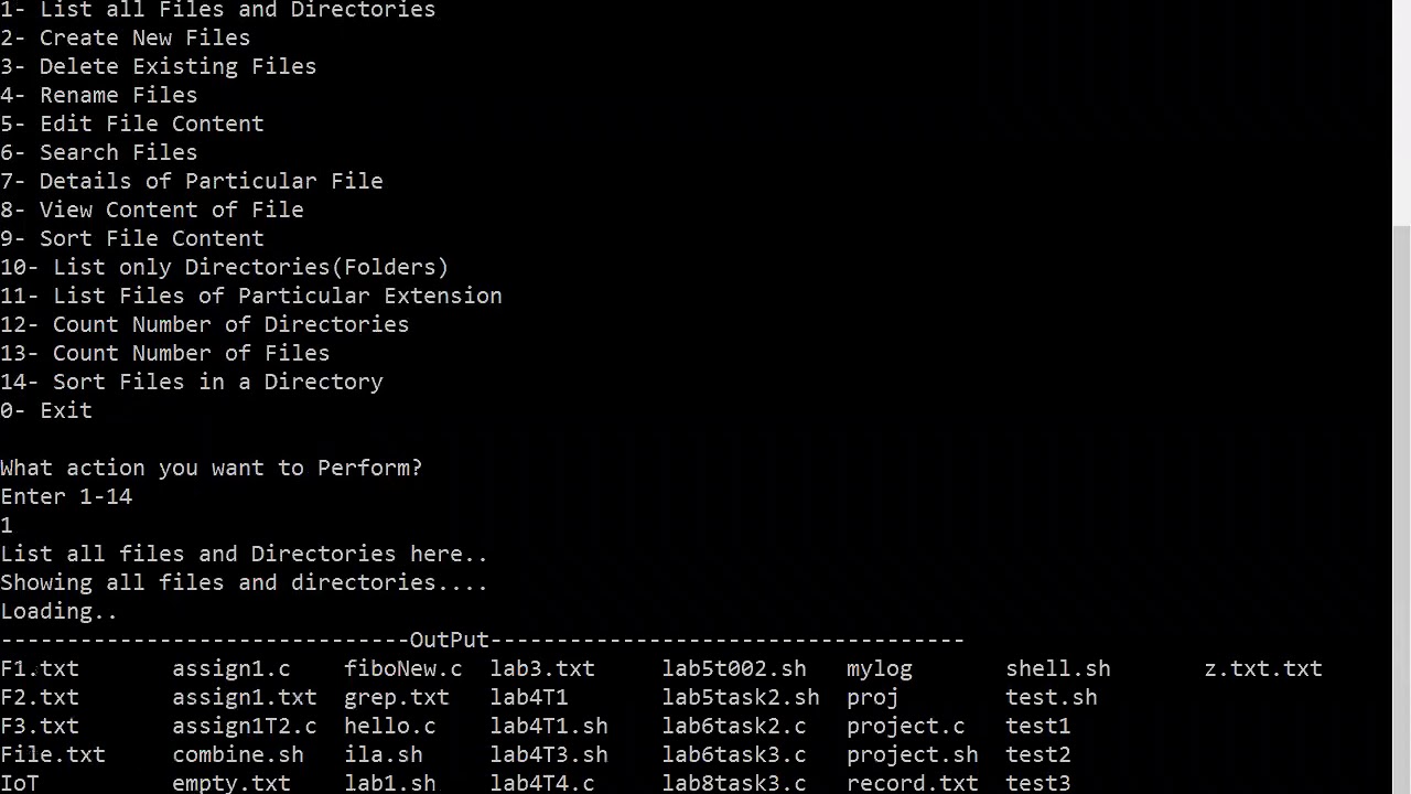 File Management System | Project Description | Operating System Project video