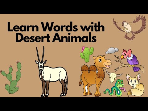 Desert Words For Learners: Exciting for Kids to Explore