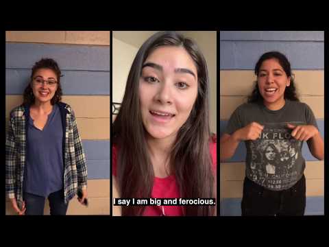 Elephant - A Powerful Poem About Feminism (Elizabeth Velasquez Cover)