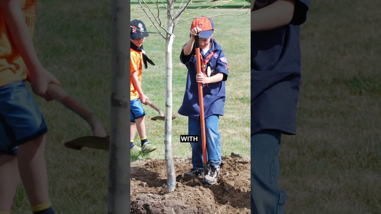 An Inside Look at the Tree Advisory Board | Town of Erie