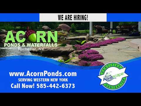 WE ARE HIRING! Rochester New York (NY) Job Opportunity