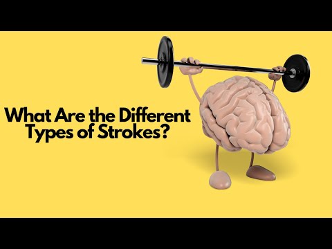 What Are the Different Types of Strokes?
