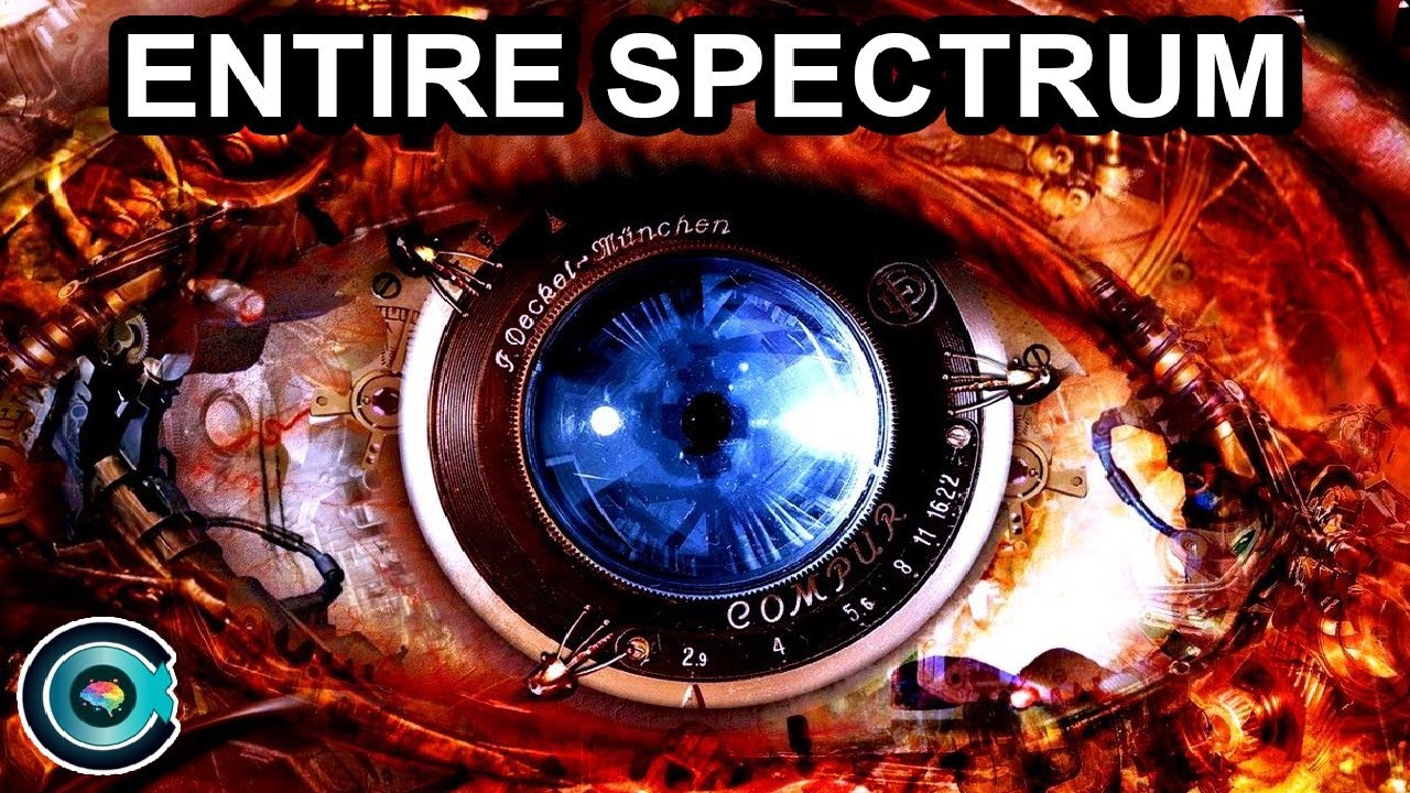 What if You Could See Entire ELECTROMAGNETIC Spectrum ?