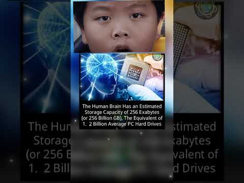 Human Brain Has An Estimated Storage Capacity Of 256 ExtraBytes #humanbrain #storage #memory #BRAIN