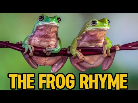 THE FROG RHYME - LEARN FACTS ABOUT FROGS FOR KIDS AND ALL AGES EDUCATIONAL RHYME VIDEO WITH MUSIC